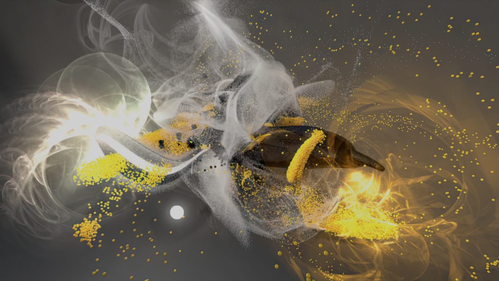 Visual Bird Sounds: Andy Thomas - MIND THE FILM